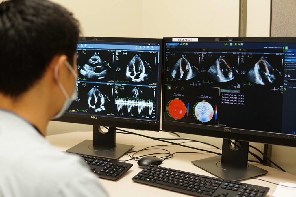 Home - AI Echo Core Lab