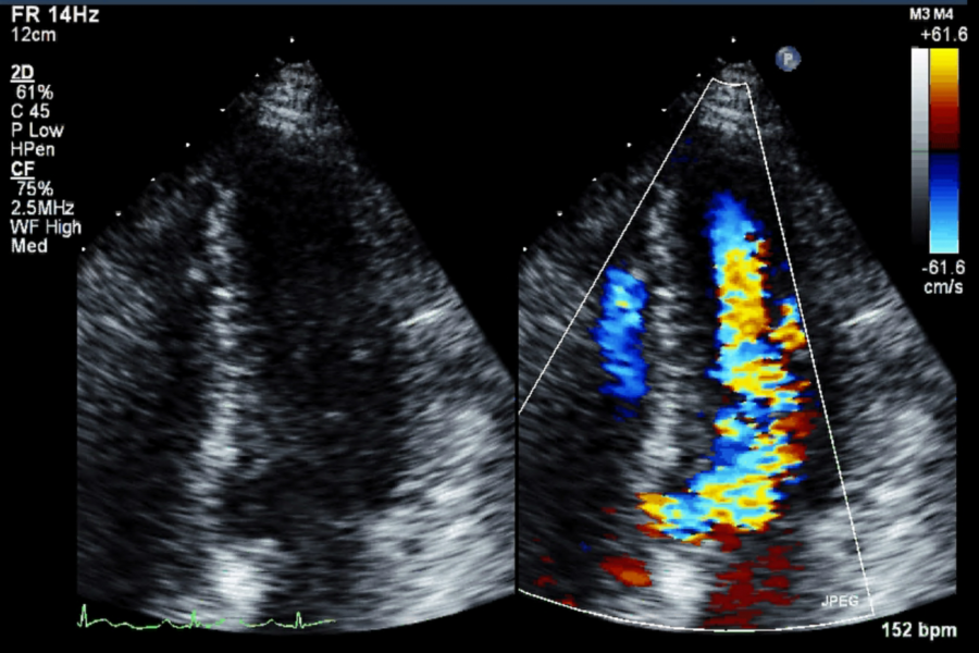 Home - AI Echo Core Lab